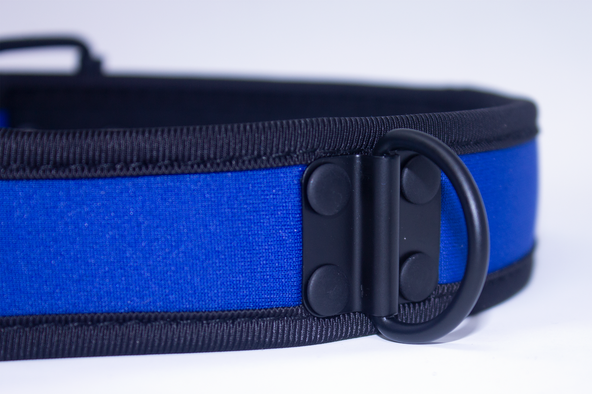 Neoprene Collar Blue – The Leather Boy